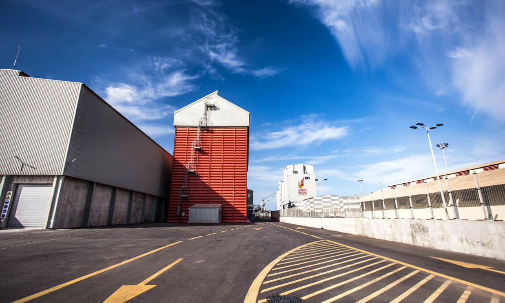 WebCor - Inauguração das Grandes Moagens de Angola (GMA)